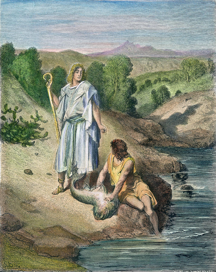 Reading through the book of Tobias – Catholic Louth and Mablethorpe